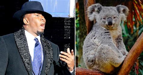 Sean Diddy Combs Whines Court Sketches Make Him Look Like A Koala