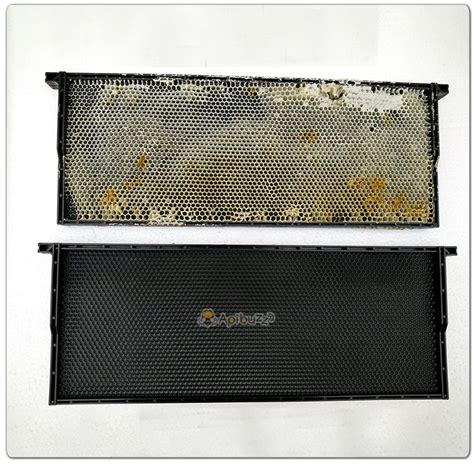 Langstroth Plastic Bee Hive Frame Foundation Apiculture Beekeeping Tool