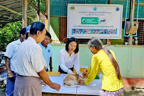 ပွင့်ဖြူမြို့နယ်၌ ၁၈ကြိမ်မြောက် ကမ္ဘာ့ခွေးရူးရောဂါ တိုက်ဖျက