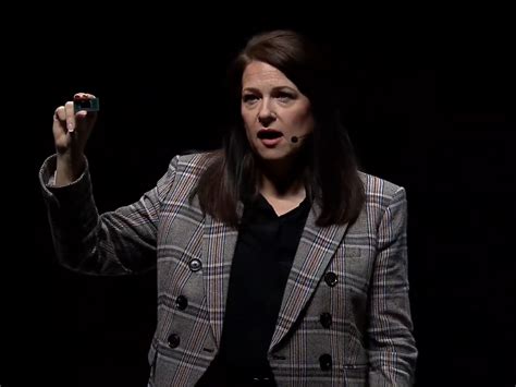 英特尔celestial独立显卡曝光：xe3p架构与内部代工 太平洋科技