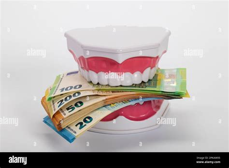 Dental Care Model Opened Different Banknotes Symbol Image Dentures