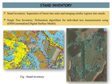 Growth Simulation Technics Yiled Regulation Ppt