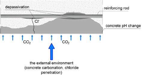 Reinforcement Corrosion In Concrete Authors Download Scientific Diagram