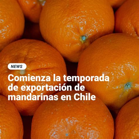 Alejandro Cortez Posted On Linkedin