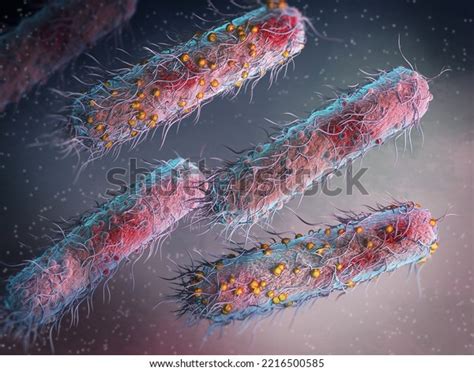 Medical Background Bacteria Facultative Anaerobes Salmonella Stock