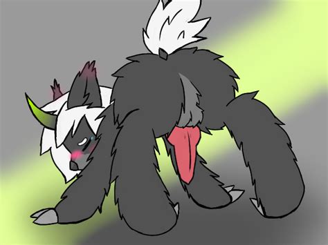 Rule 34 Animal Genitalia Animal Penis Balls Canid Canine Canine Penis