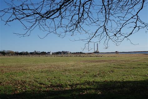 おびただしい数のカナダ雁の群れ ニューヨーク郊外で気軽にバードウォッチングを楽しむ