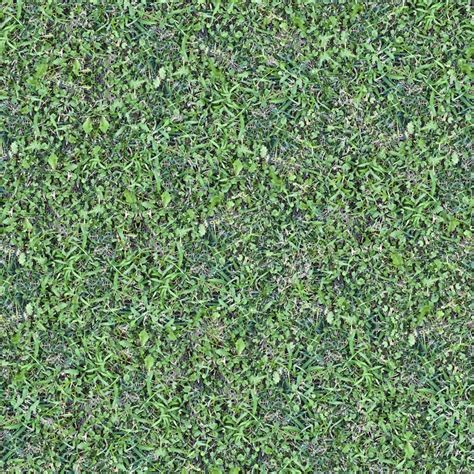 Grassy Seamless Texture Photos Download Free High Quality Pictures