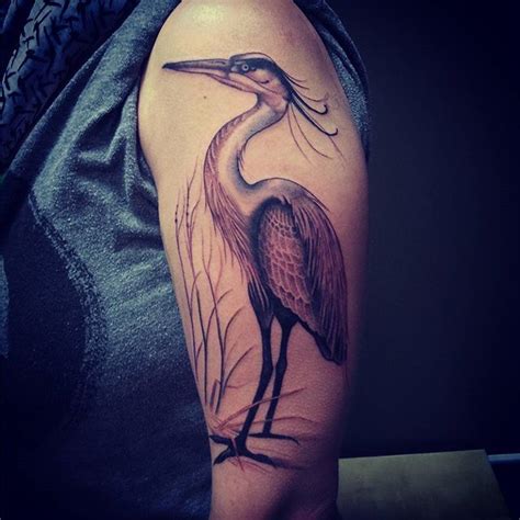 Nicolas Cain On Instagram “got A Quick Start On This Great Blue Heron