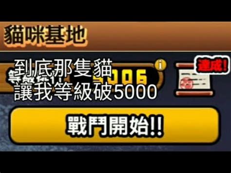 貓咪大戰爭 等級排行破5000的瞬間 Youtube