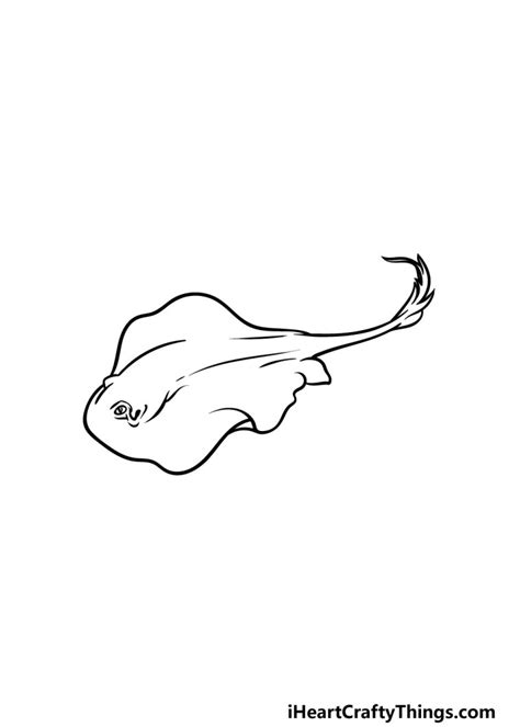 Stingray Drawing How To Draw A Stingray Step By Step