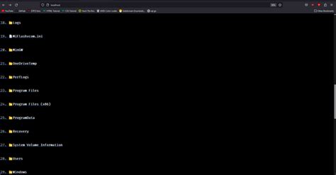Directory Traversal Vulnerability Rprogrammerhumor