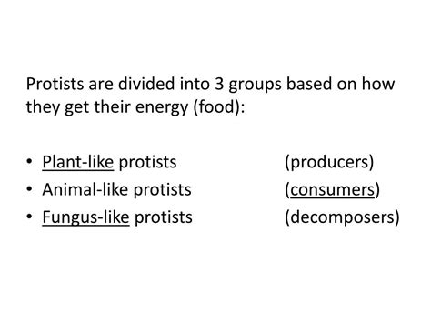 Ppt Unit 2 Notes Kingdom Protista Powerpoint Presentation Free