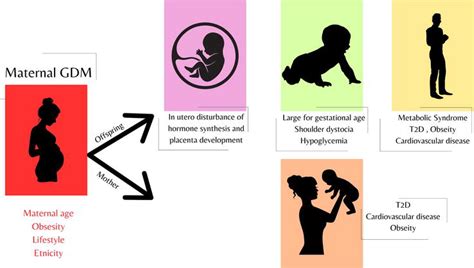 Gestational Diabetes Mellitus Intechopen
