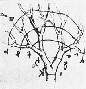 Fractal Foundation Online Course Chapter 1 Fractals In Nature