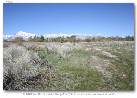 Pseudocopaeodes Eunus Flavus Alkali Skipper