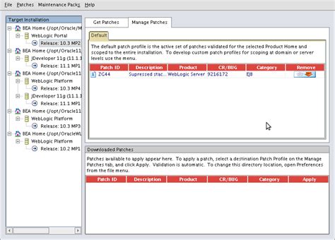Oracle Soa E Bpm Suite Thiago Galbiatti Vespa