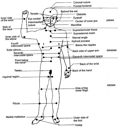Pressure Points Control Tactics Diagram Pressure Point Contr