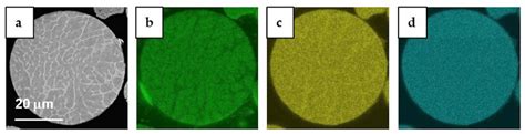X Ray Diffraction Pattern And Micrograph Of Ni 36 Al 27 Co 37 Powder