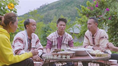 年轻一代的制茶人向父辈等人请教凉拌茶做法，想复刻基诺族古老的茶之味凤凰网视频凤凰网