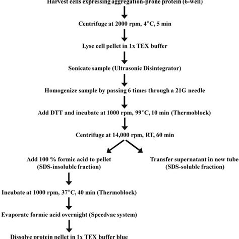 A Stepwise Protocol Of Sds Soluble And Sds Insoluble Cell Fractionation Download Scientific