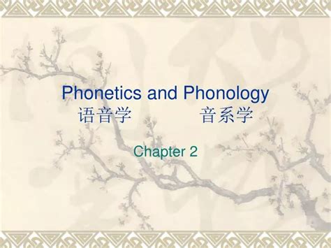Ppt Phonetics And Phonology 语音学 音系学 Powerpoint Presentation Id3677628