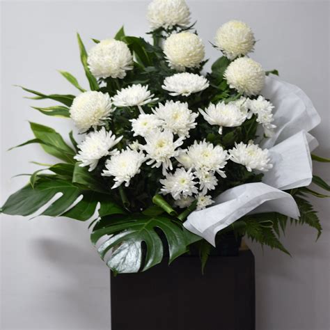 Online White Ball Mums Flower Stand T Delivery In Singapore Fnp