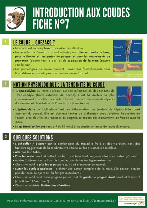 Poster N°7 Introduction Aux Coudes Pdf 724x1024 Formation Et Sécurité