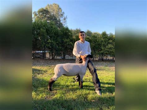 Owen Arnold Independent