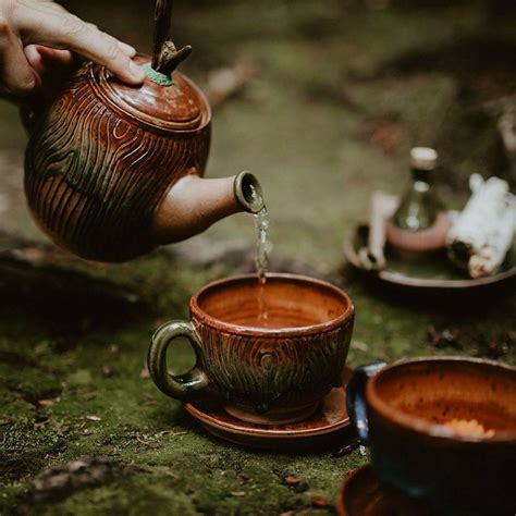 Green Essence Living Biobag Large Shopping Bags Are Made From Mater Bi Hold Up To 20lbs And