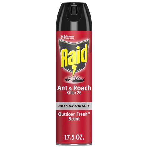 Raid Bug Spray