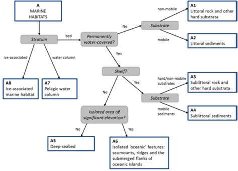 Habitat Mapping The Eunis Nomenclature Participatory Assessment