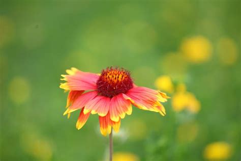 高海燕 作品賞析 每日頭條