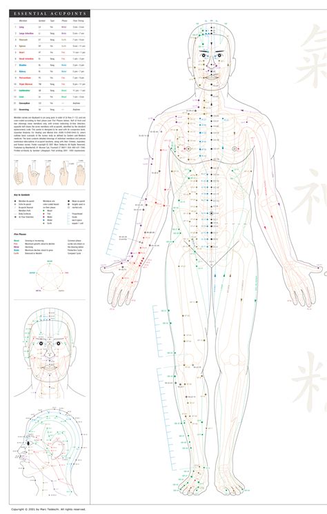 Essential Acupoints Poster Samples At Full Size Artofit