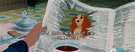 动画 小姐与流浪汉1955 国英多音简繁字幕 1080p高清修复下载｜两只小狗狗的爱情故事 围炉go