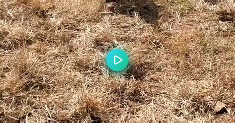 Uno Reverse Album On Imgur Uno Reverse Album On Imgur