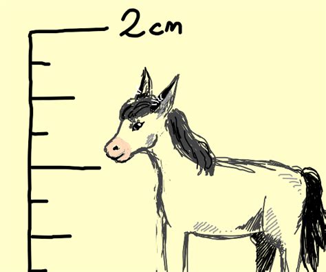 Small Mule Drawception