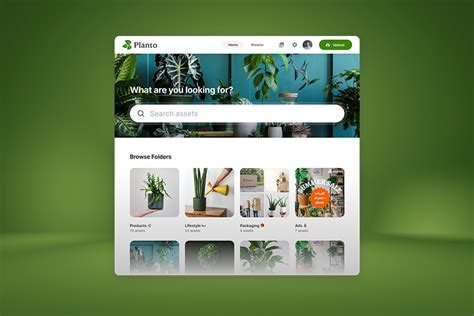 9 Best Digital Asset Management Software For Photographers