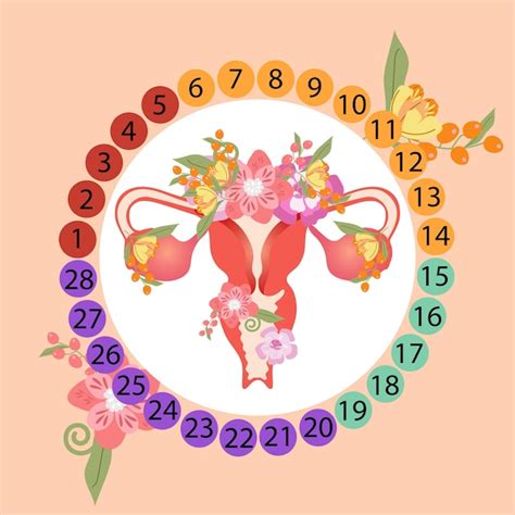 Page 32 Reproductive Health Images Free Download On Freepik