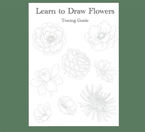 Learn To Draw Flowers Tracing Guide Printable Digital Download Floral