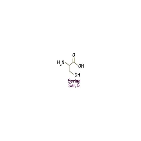 Biochemistry Glossary Amino Acid Polar Ditki Medical And Biological