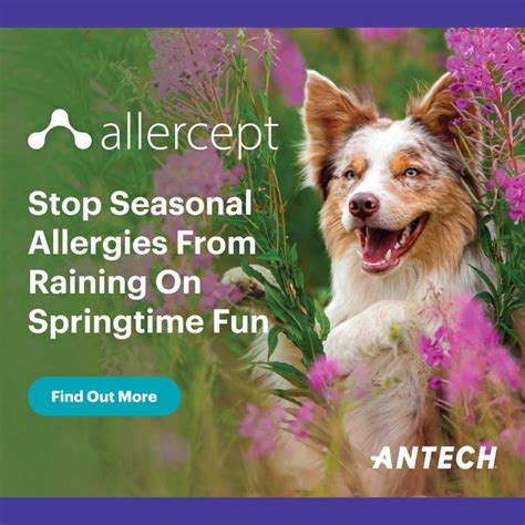 How To Address Seasonal Allergies With Vetmed Antech Diagnostics Posted On The Topic Linkedin