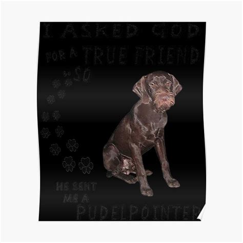 Pudelpointer Saying Mom Dad Costume Pointing Hunting Dog Poster For
