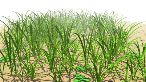 3d Models Of Grass 3d Plants 3d Grass 3d Grass Texture Grass 3d
