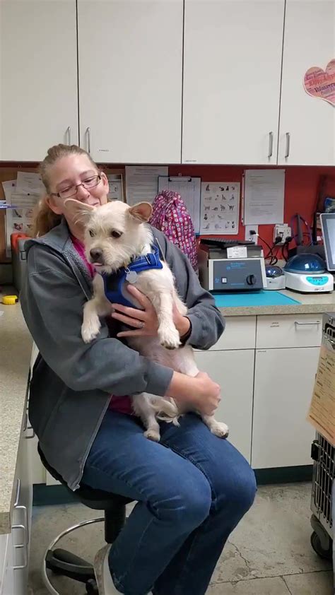 Happy National Vet Tech Week Today We Celebrate Our Own Vet Tech Anna