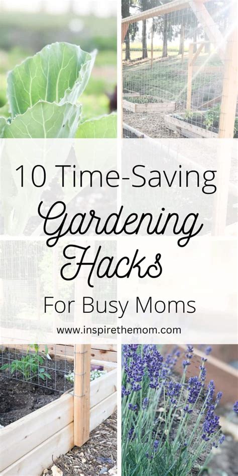 10 Time Saving Gardening Hacks For Busy Moms Inspire The Mom