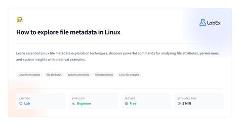 How To Explore File Metadata In Linux Labex