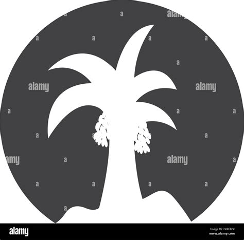 Palm Tree With Date Fruit Stock Vector Images Alamy