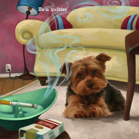 Pirja E Duhanit Dëmton Rëndë Dhe Qenin Tuaj Abc News