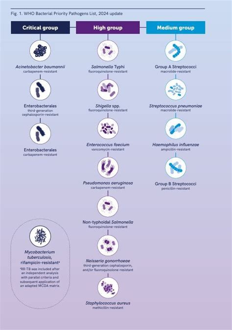 Who Bacterial Priority Pathogens List 2024 Hatim Mosa
